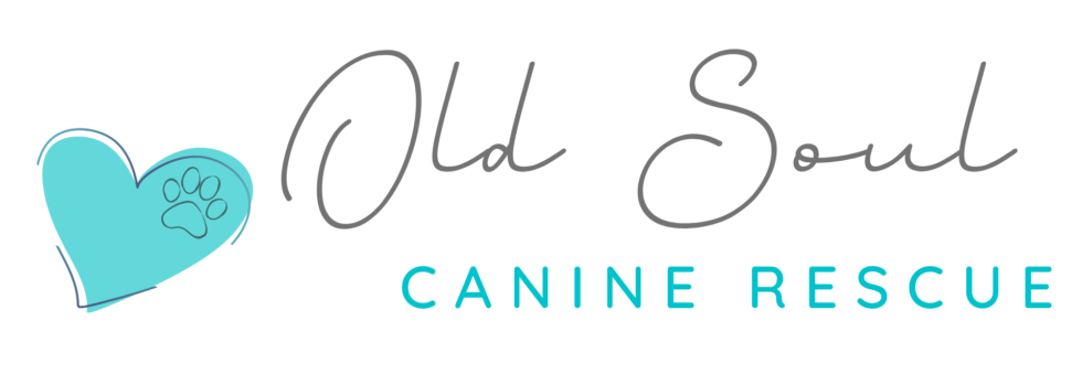 Adopt - Old Soul Canine Rescue